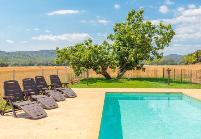 Cal Bort - Villas in Sant Gregori